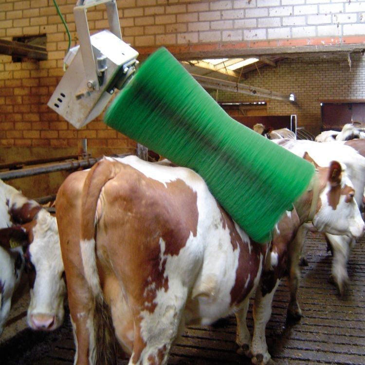 Dairy Farm Equipments Automatic Cow Body Brush For Cow Massage With The ...