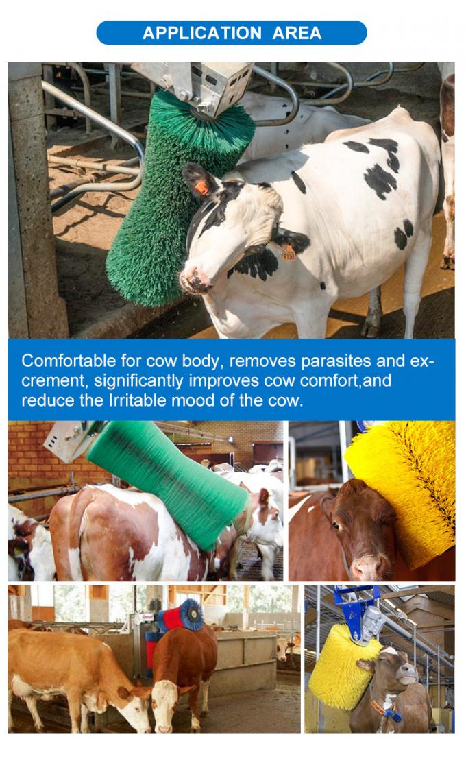 Powerless Massage Itch Brush Cow Scratch Farm Pasture Cattle And Sheep ...
